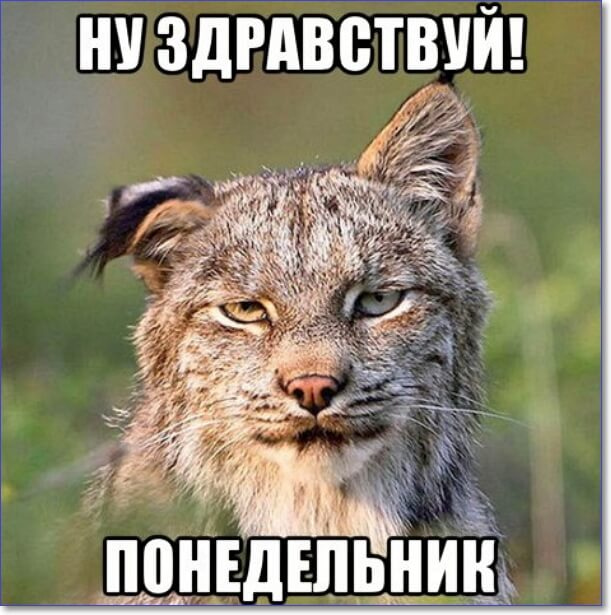 Самые прикольные картинки (36 фото)