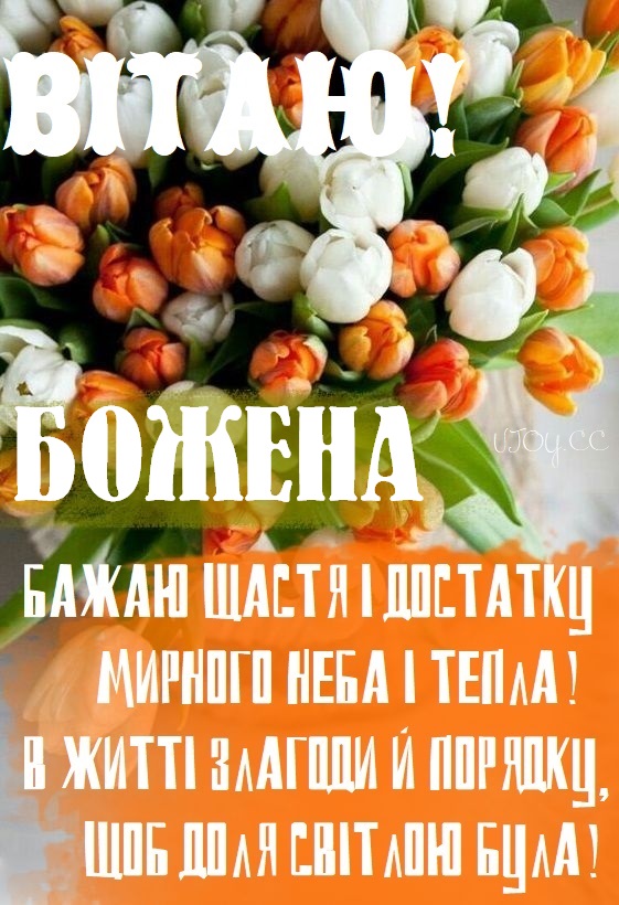 Красиві картинки З днем народження Божена 41 фото